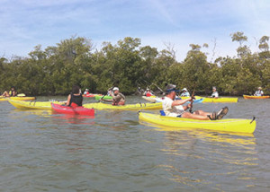 Tours | Adventure Sea Kayak & SUP